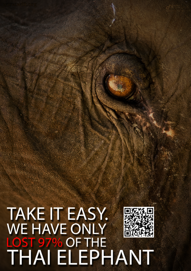 Thai elephant campaign - Wildlife Friends Foundation Thailand