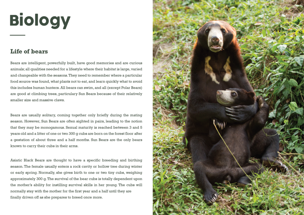Bear Educational Posters / Factsheets - Wildlife Friends Foundation ...