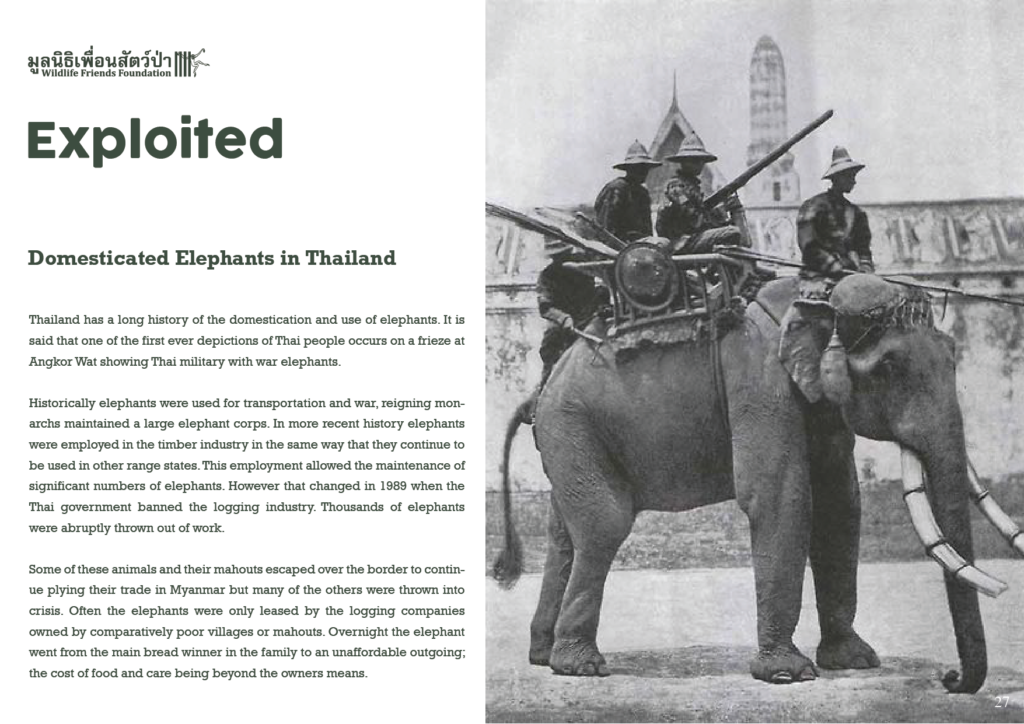 Elephant Educational Posters / Factsheets - Wildlife Friends Foundation ...