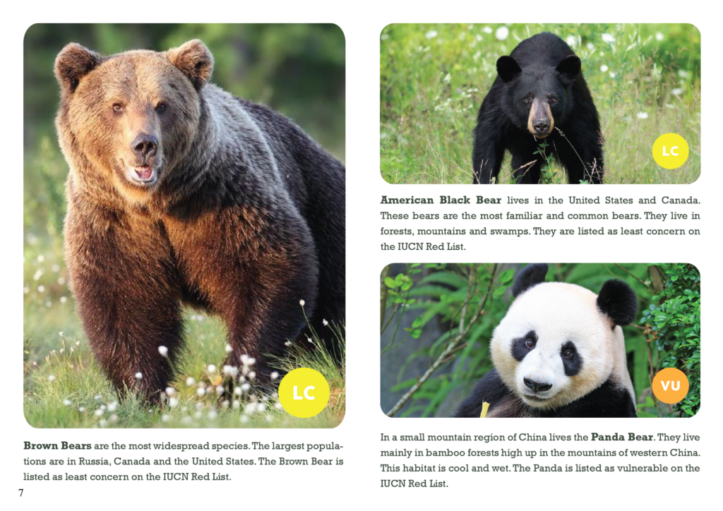 Bear Educational Posters / Factsheets - Wildlife Friends Foundation ...