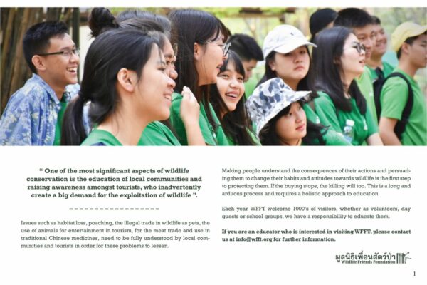 Tiger Educational Posters / Factsheets - WFFT