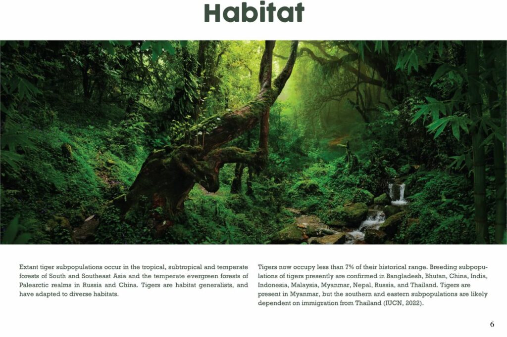 Tiger Educational Posters / Factsheets - WFFT