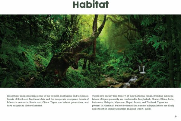 Tiger Educational Posters / Factsheets - WFFT